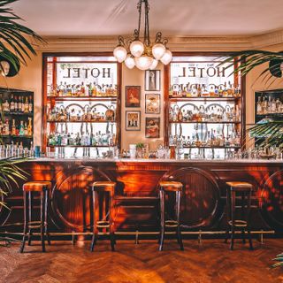 Bar Locarno Bar Rome | Menu & reviews | Xceed