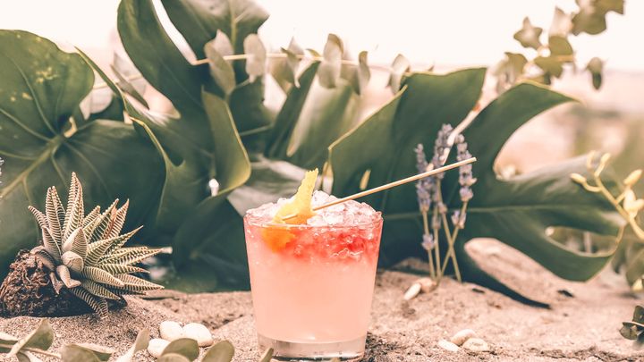 Hortus Bar Bar Rome | Menu & reviews | Xceed