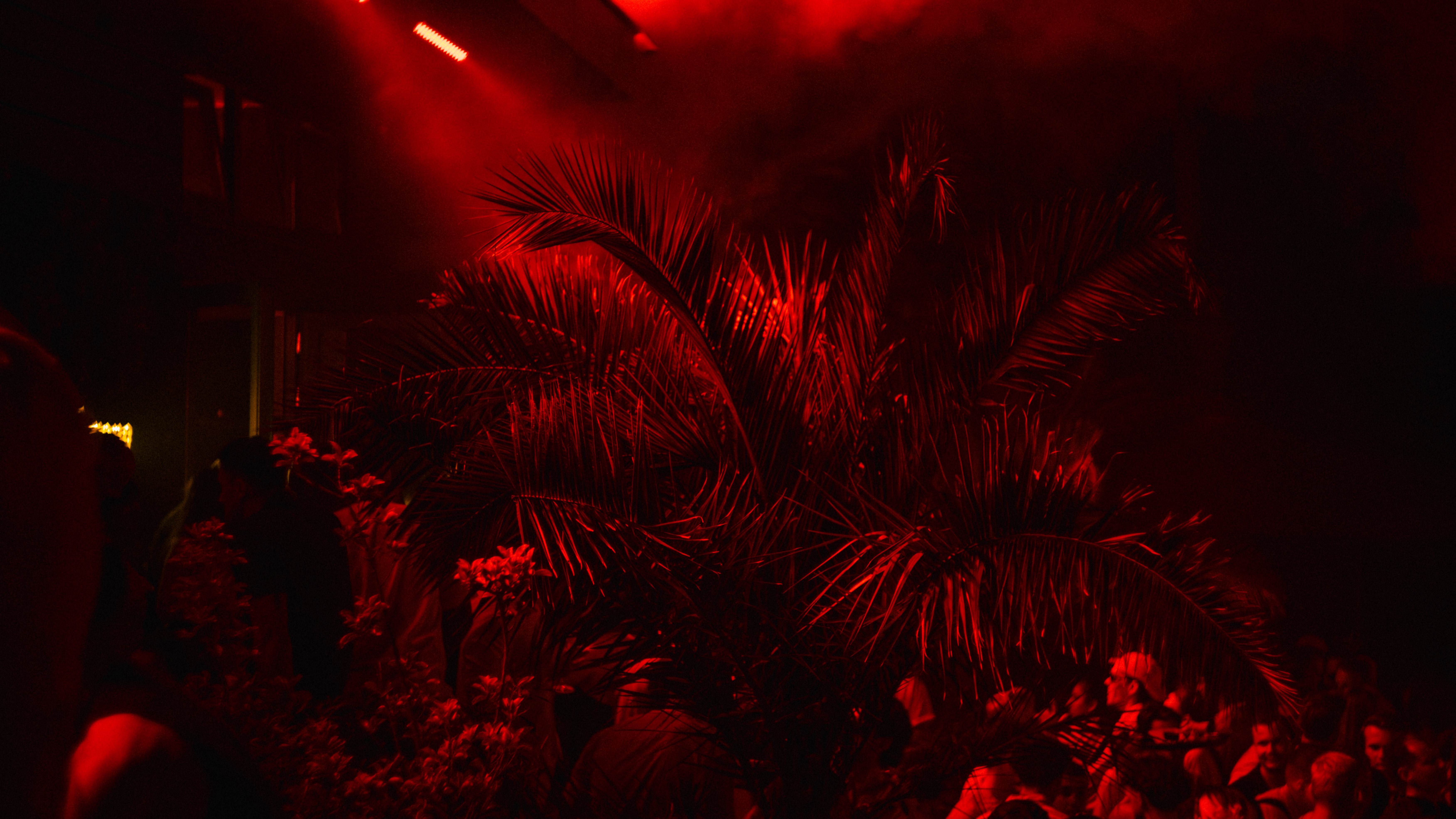 Butterflies Season Opening @CSA @ Café Schöne Aussichten (CSA ...