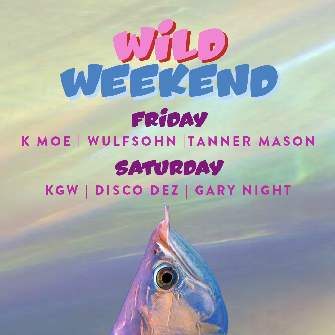 Wild Weekend - Fri @ The Village Idiot | Bilhetes & Guest Lists